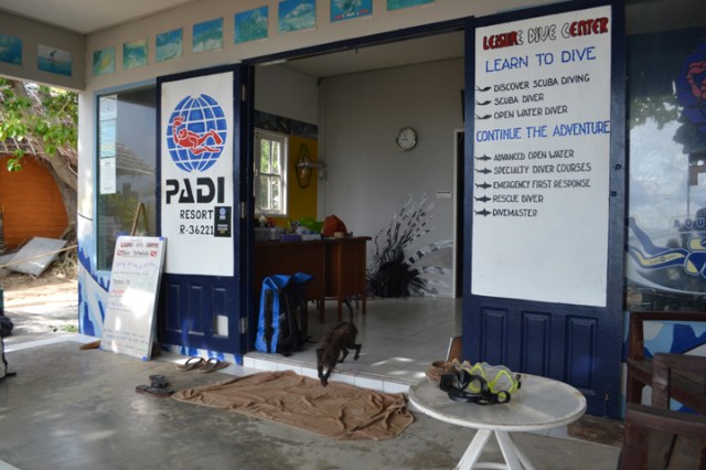 Scuba Diving in the Phi Phi Islands: Koh Bida Nak and Maya North ...