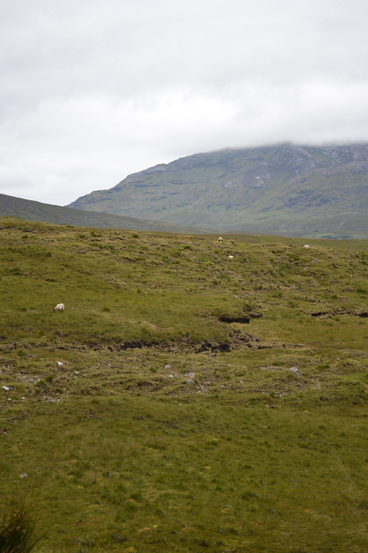 Connemara: Bogs, Fjords and Kylemore Abbey – Kirsten Captures
